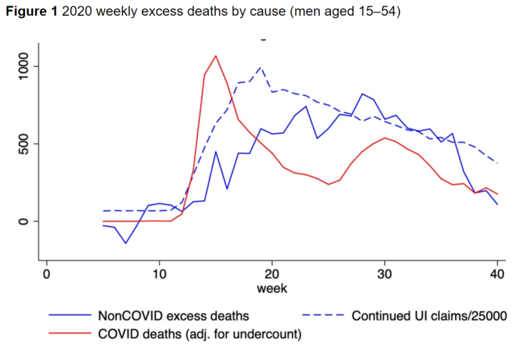 Deaths of despair and the incidence of excess mortality in 2020 ...