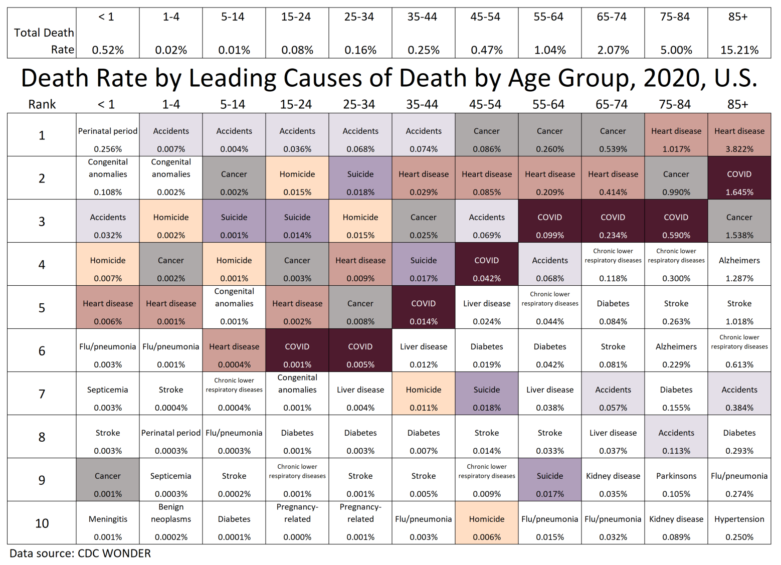Top Causes of Death by Age Group, 2020: Death Rates – Actuarial News