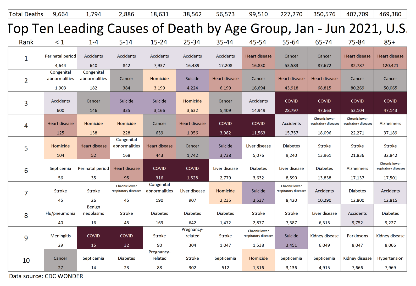 2021 U.S. January-June Cause-of-Death Ranking Table – Actuarial News