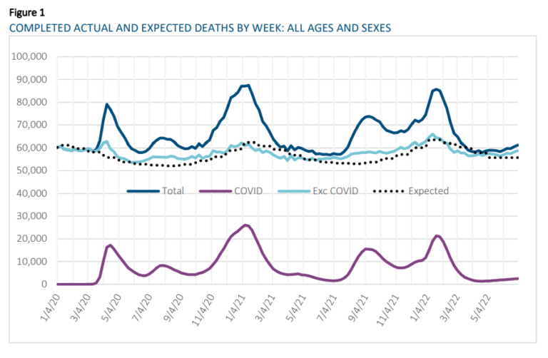 2020 2021 Excess Deaths In The U S General Population By Age And Sex